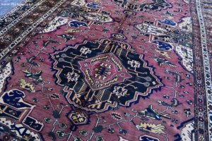 Persian Kurdi Gouchan - MylesQuirke.com